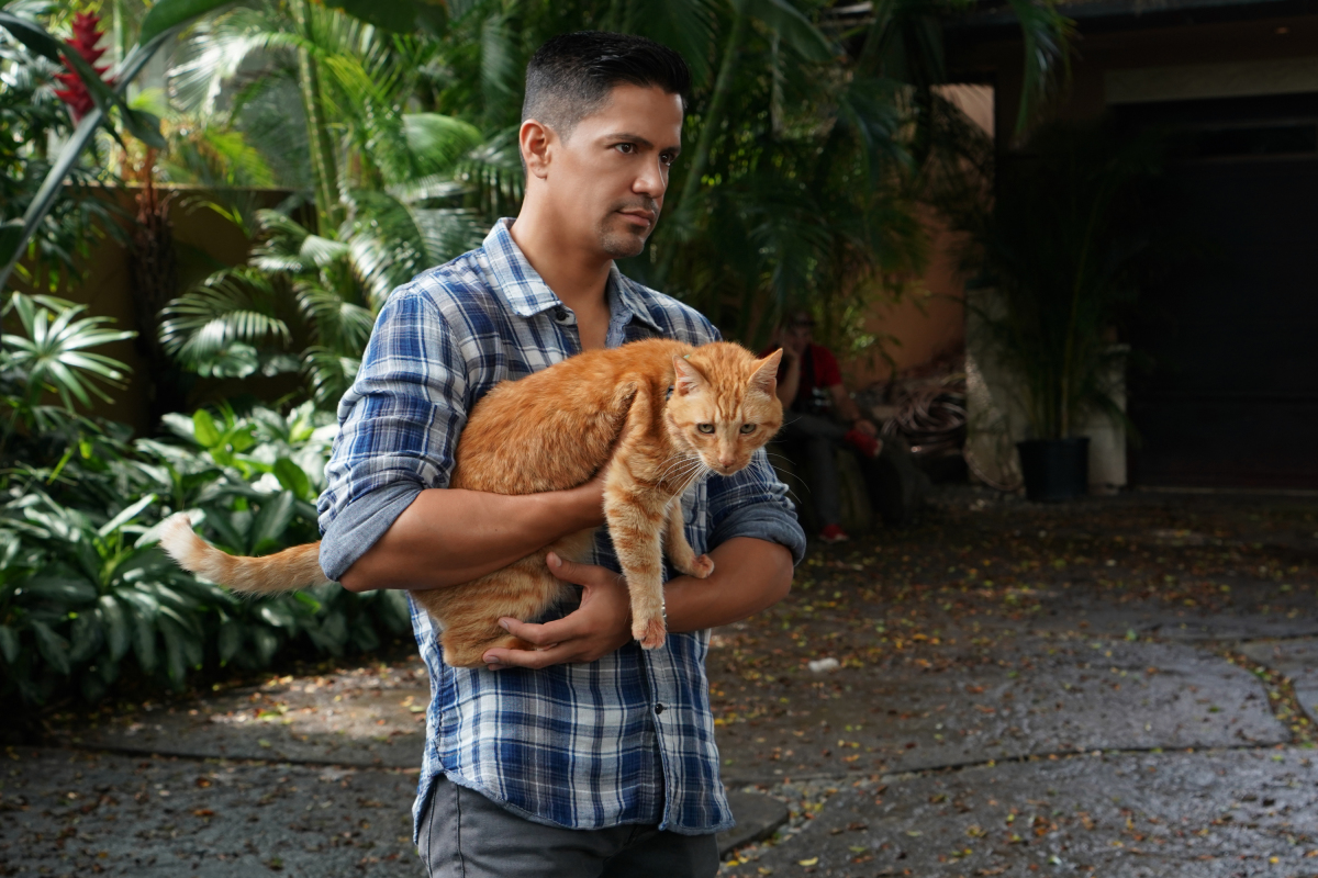 MAGNUM PI Season 1 Episode 7 "The Cat Who Cried Wolf" Photos